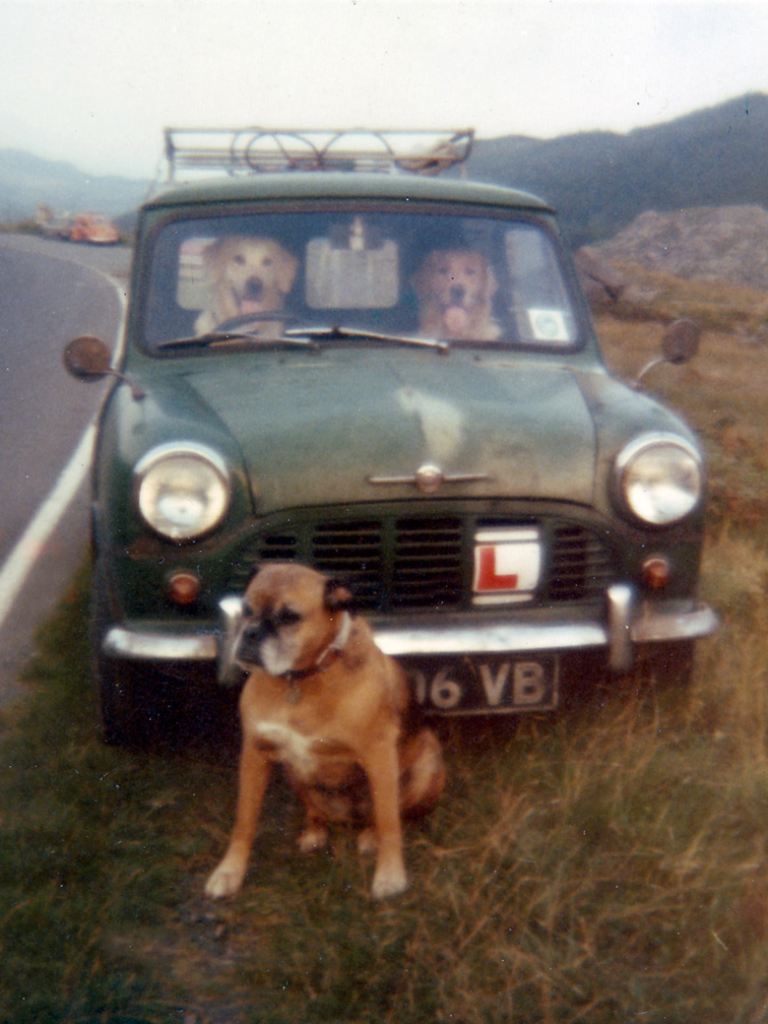 Living with Dog Man Ray. Apparently, it has been quite an experience!