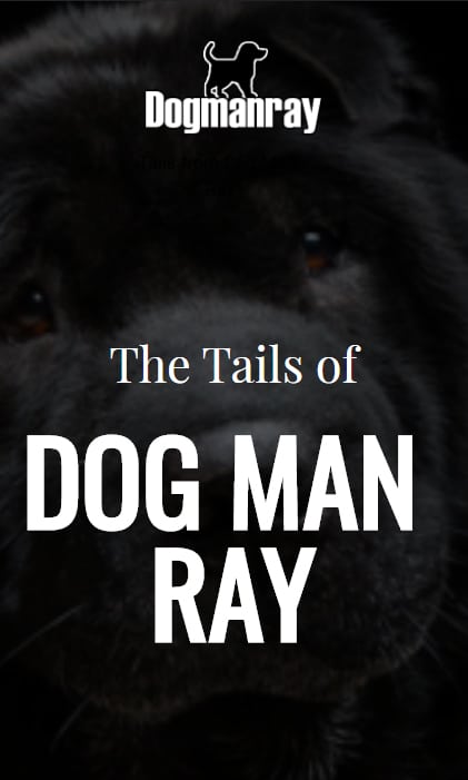 Dog Man Ray and his life as a professional canine trainer!