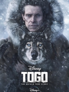 The amazing true story about Togo, the legendary sled dog.