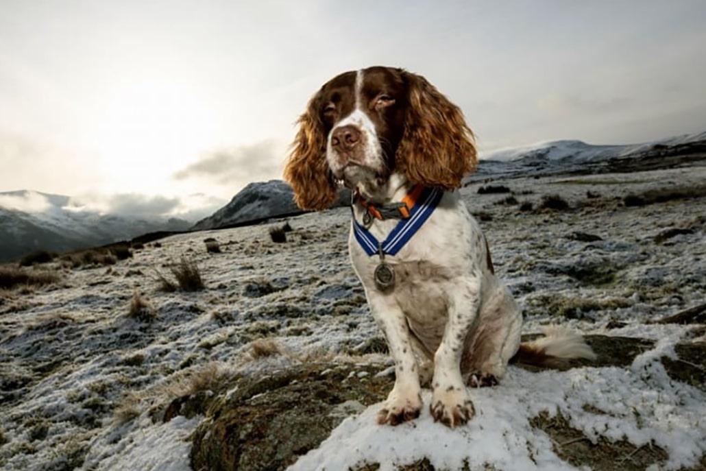 The amazing tale of Max the Miracle Dog by Dog Man Ray