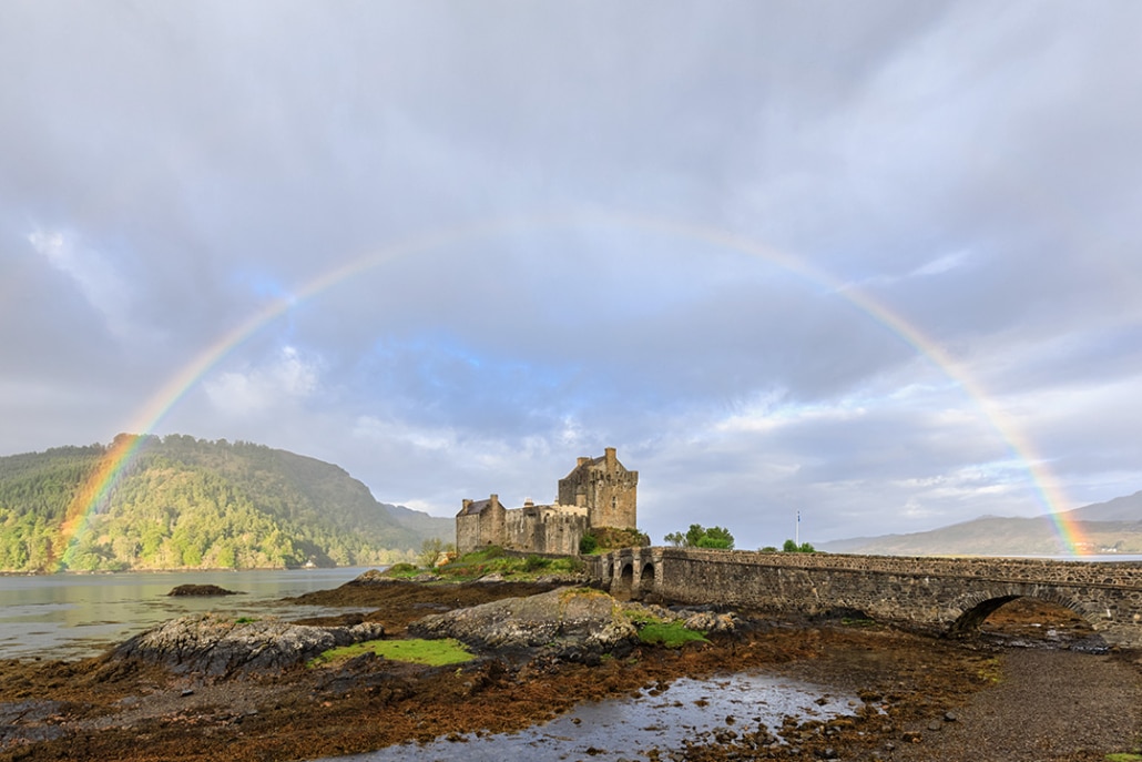 The Rainbow Bridge by Edna Clyne-Rekhy